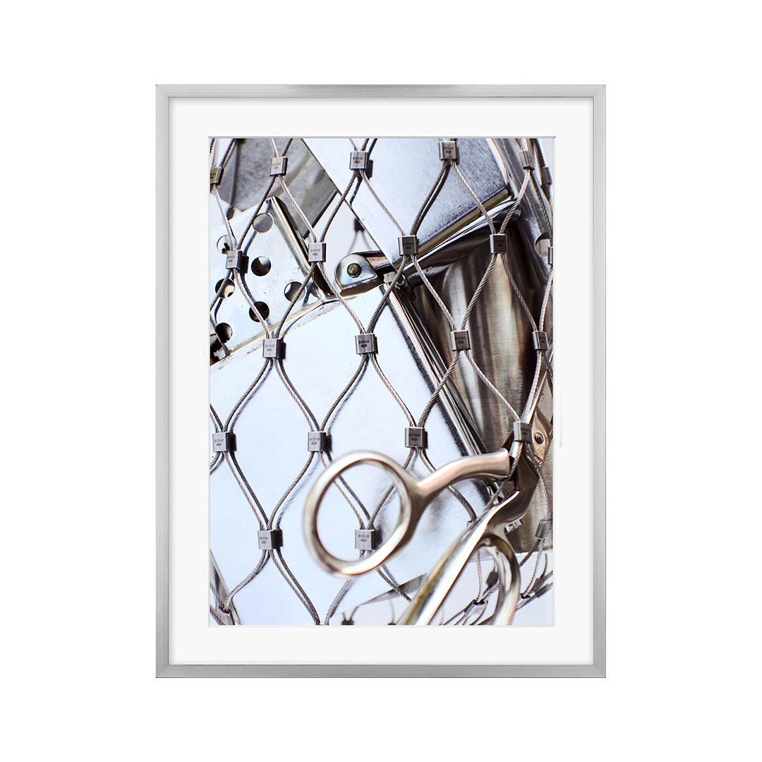 Silver Exo Bag Art Print