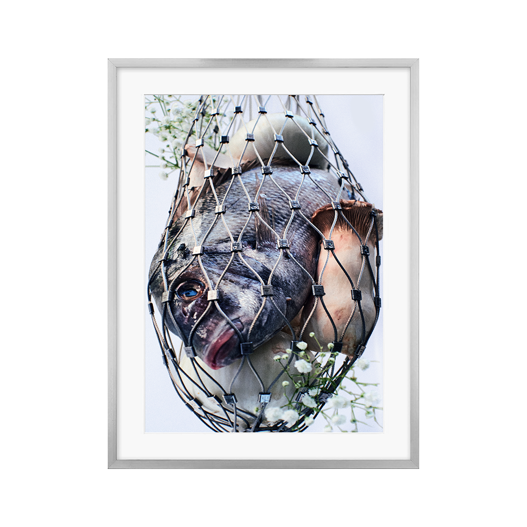 Fish Exo Bag Art Print